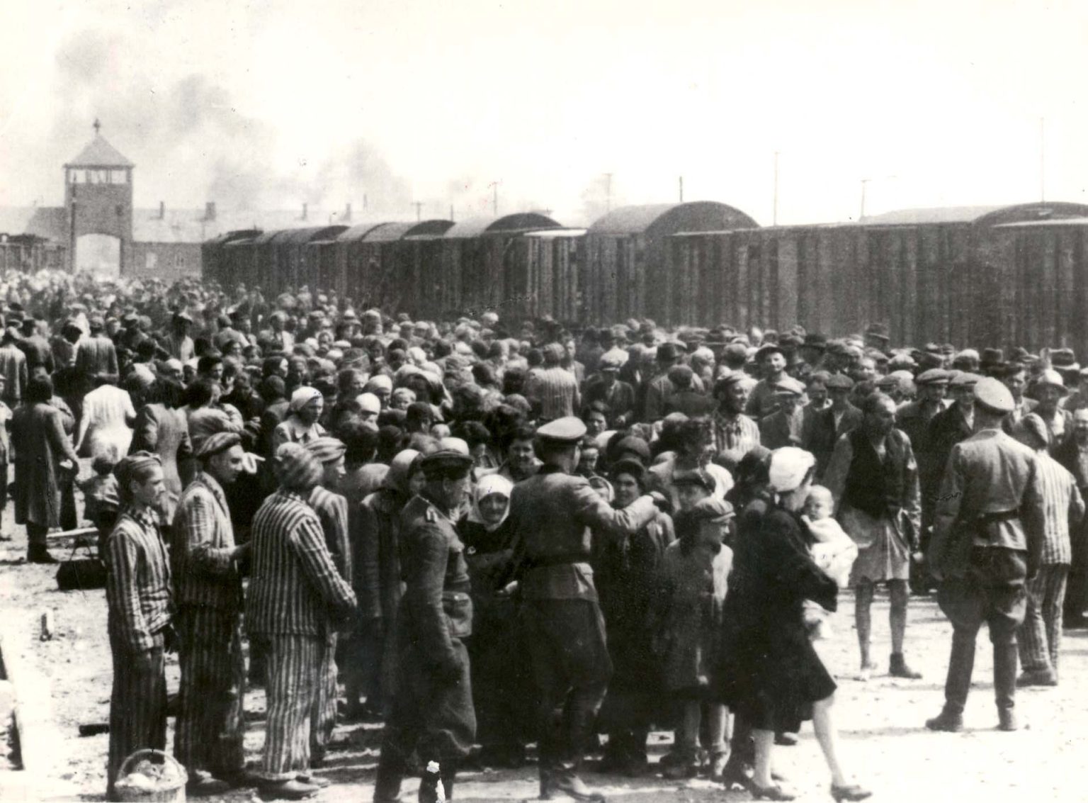 The Auschwitz-Birkenau Concentration and Extermination Camp | Key ...